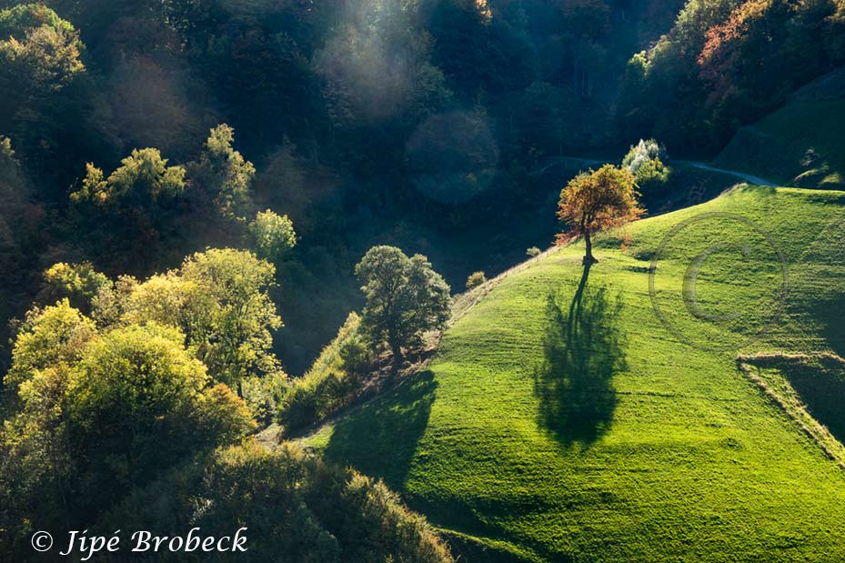 PROMENADE EN FORET NOIRE AUTOMNALE | trucapapy